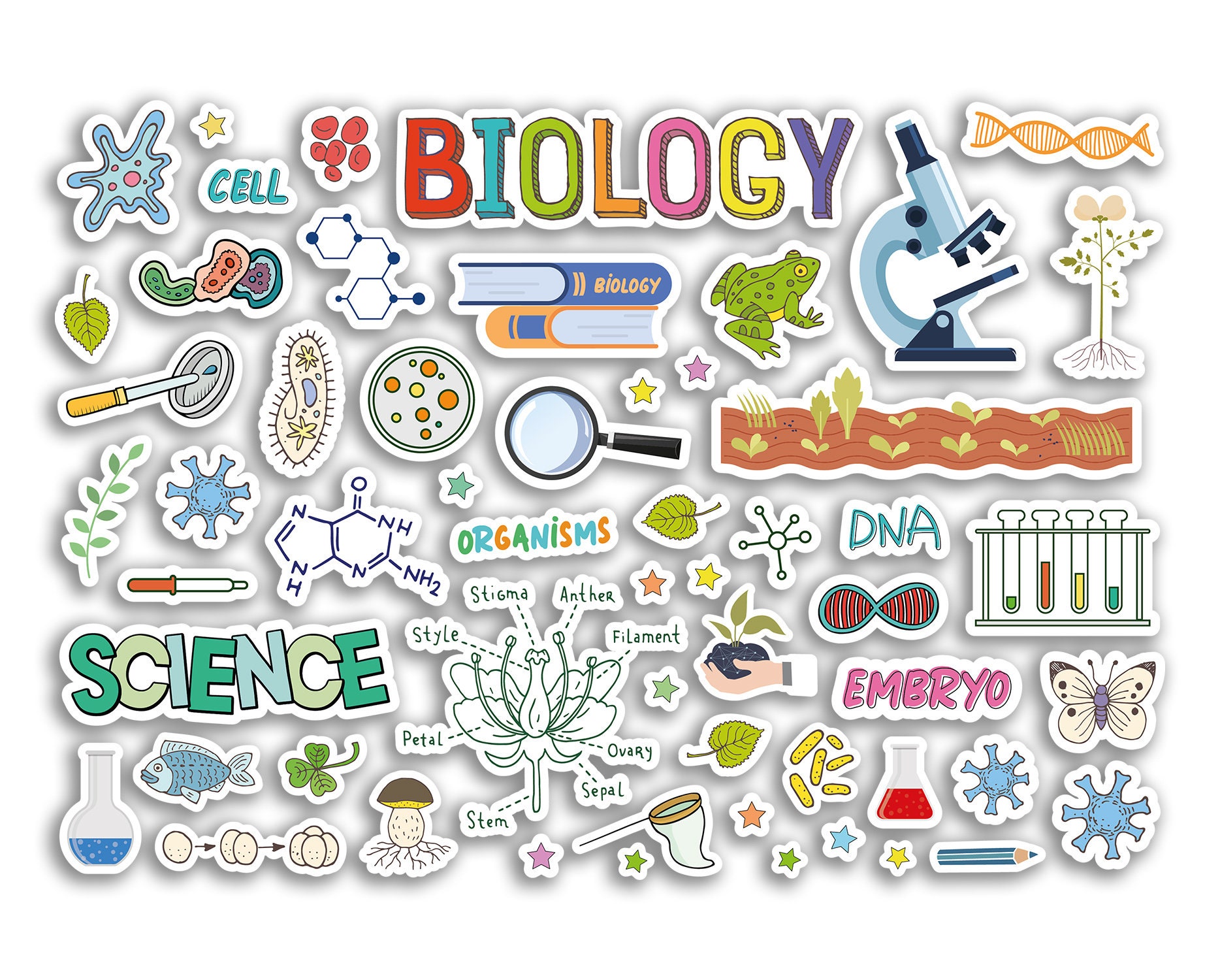 A4 Sticker Sheet Biology Vinyl Stickers - Science Triple Exams Fan ...