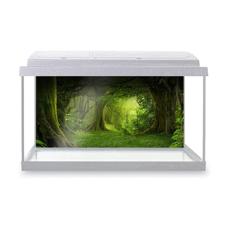 Aquarium and Rain - Etsy UK