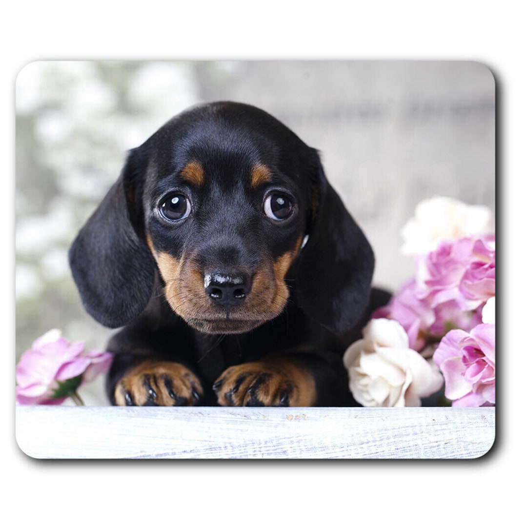 1 X Dachshund Mouse Mat - Pets Sausage Dog Puppy Animal Abstract Desk ...