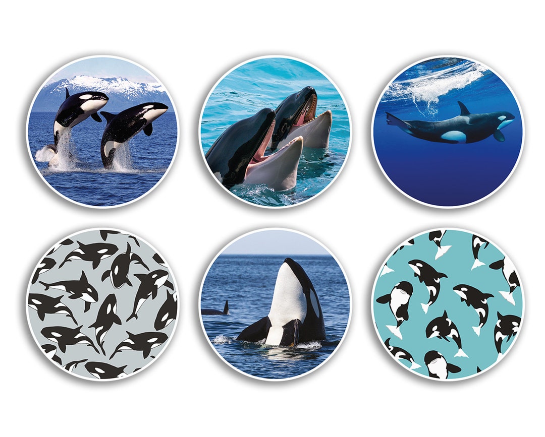 6 X 10cm Orca Whale Vinyl Stickers - Sea Creature Pattern Cartoon ...