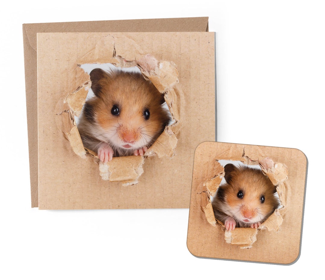 1 X Greeting Card & Coaster Set - Hamster Rodent Pets Cute Animal ...