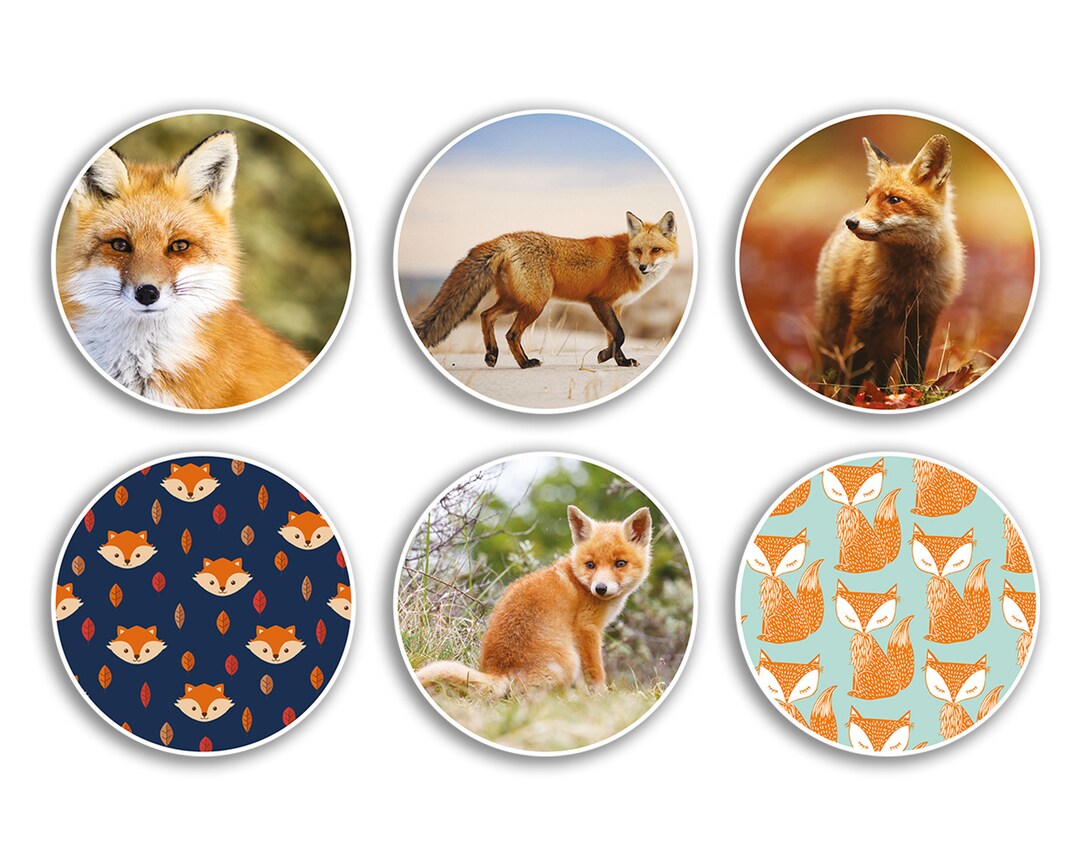 6 X 10cm Fox Vinyl Stickers - Vixen Animal Wild Foxes Cartoon Leaves ...