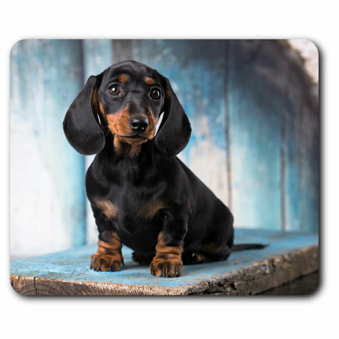 1 X Dachshund Mouse Mat Pets Sausage Dog Puppy Animal Abstract Desk ...
