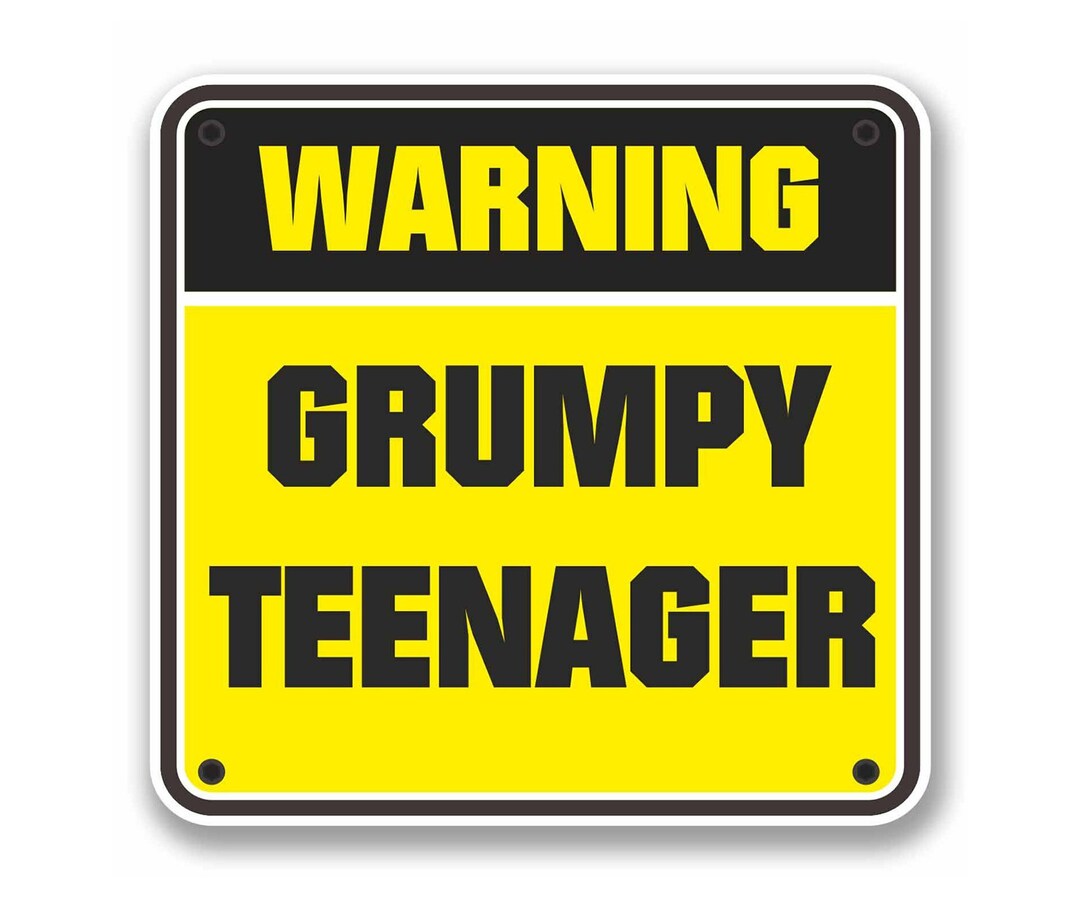 2 X 10cm Warning Grumpy Teenager Vinyl Stickers Funny Joke Teen Son ...