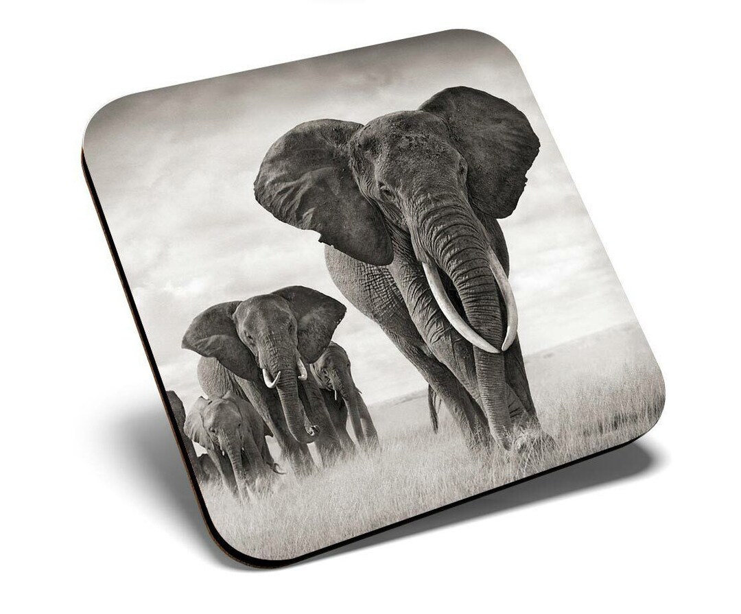 Elephants Square Coaster - Safari Herd Zoo Animals African Boys Girls ...