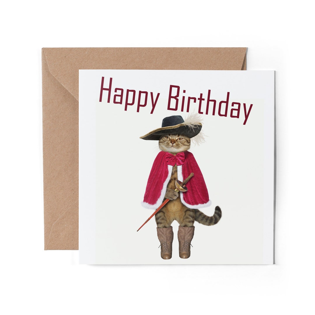 1 X Greeting Card - Happy Birthday Musketeer Cat Kitten Joke Dad Uncle ...