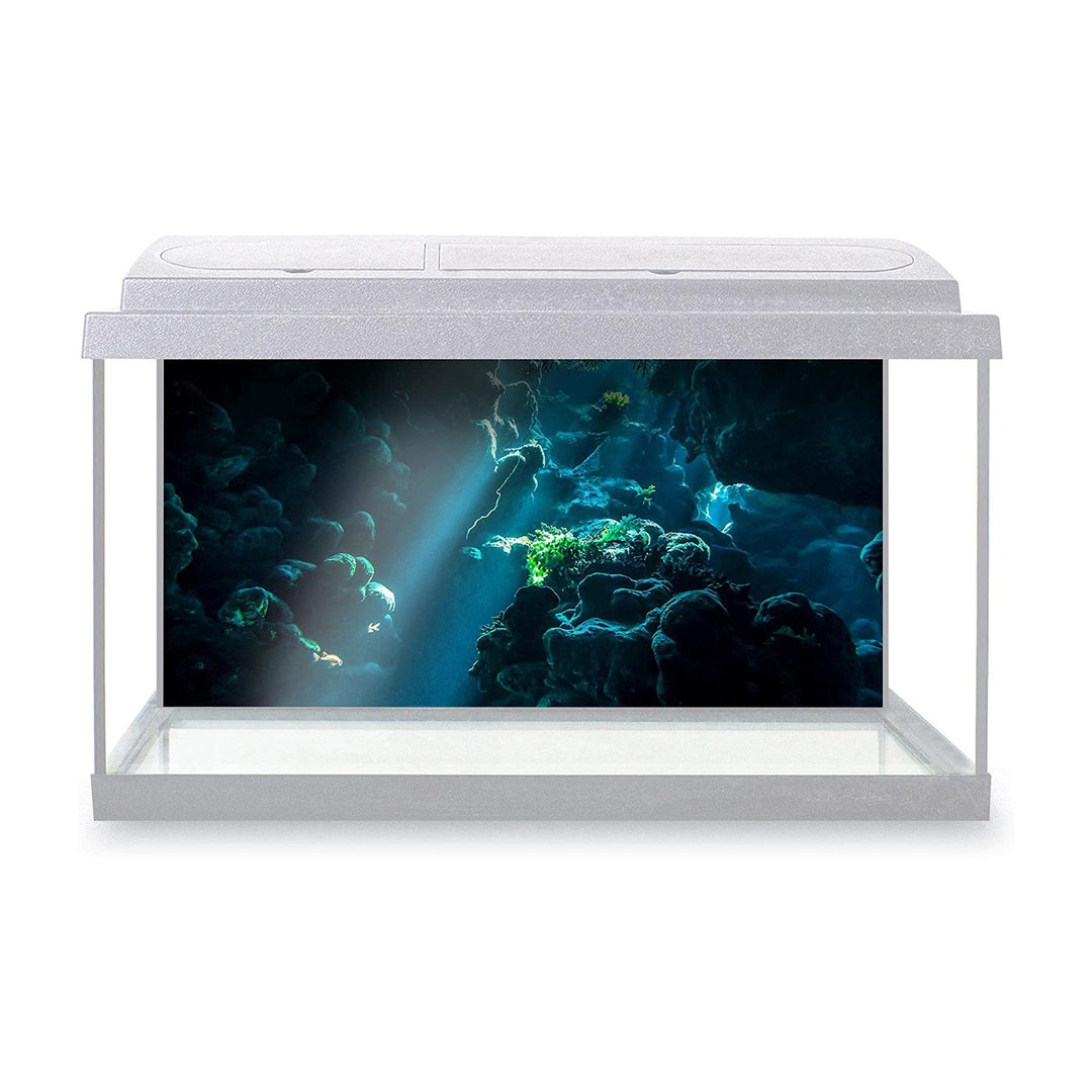 Fish Tank Background Various Sizes - Underwater Cave Ocean Sea Scuba ...