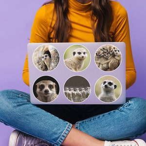 6 X 10cm Meerkat Vinyl Stickers Animal Adorable Safari Zoo Kids Boys ...