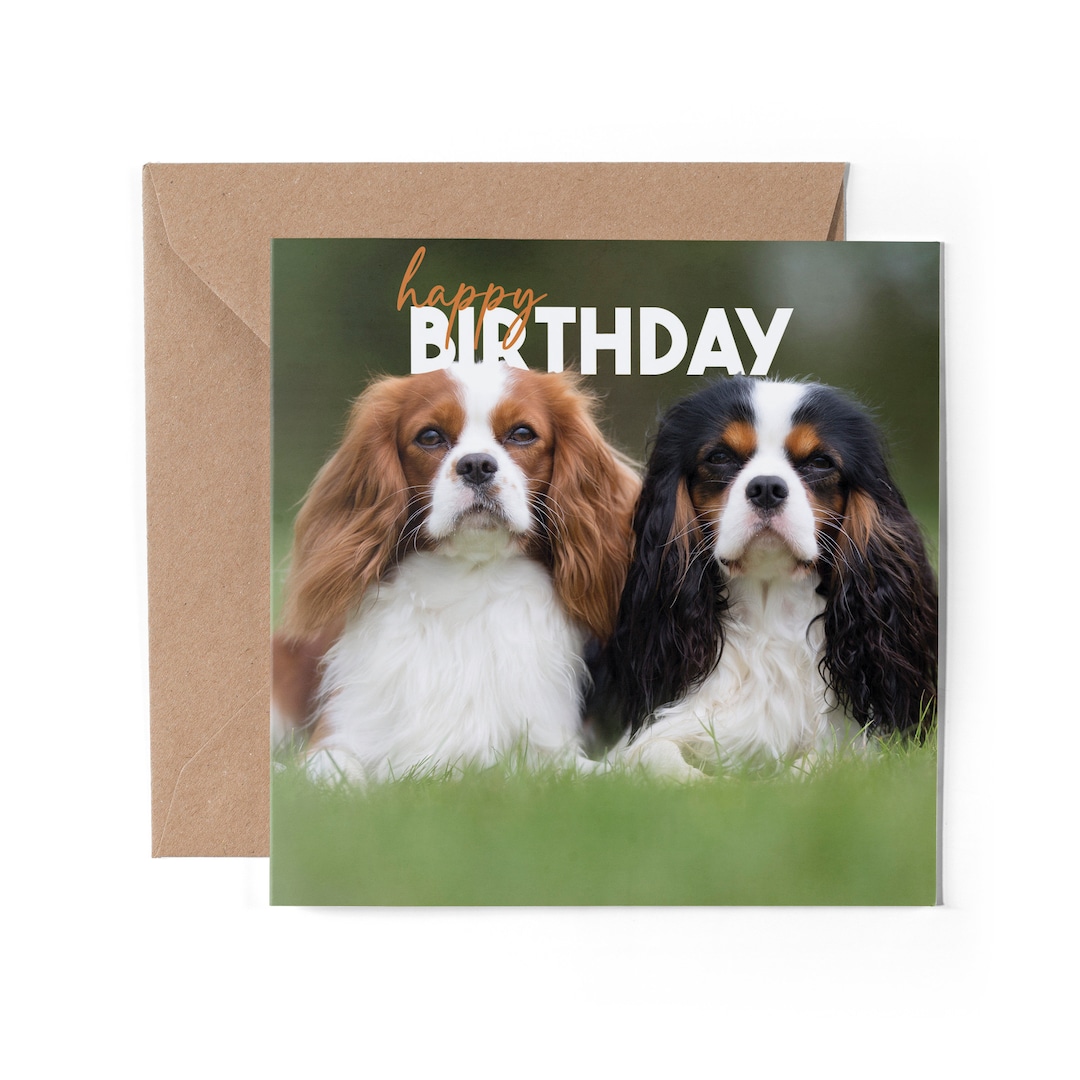1 X Greeting Card - Happy Birthday Cavalier King Charles Spaniel Puppy ...