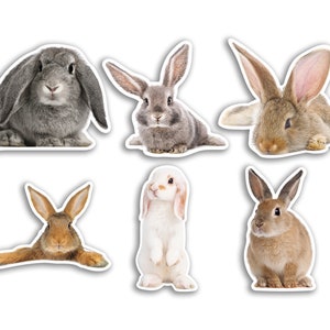 6 X 10cm Rabbit Vinyl Stickers Bunny Funny Animal Pattern Nature Pets ...