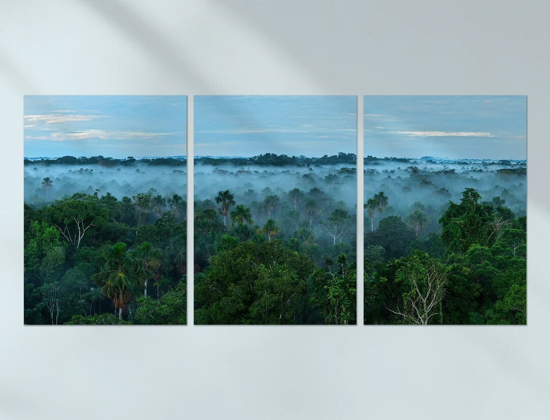 3 X Amazon Rainforest Posters Travel Forest Brazil Trio of Prints ...