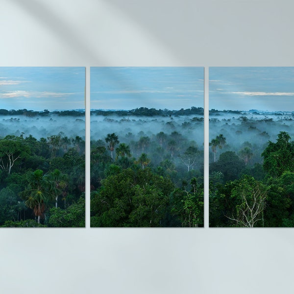 Rainforest Wall Art - Etsy UK