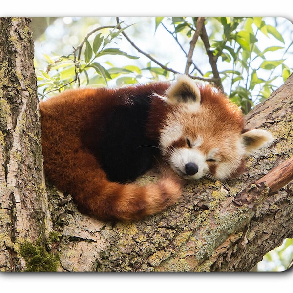 Panda Mouse Pad - Etsy UK