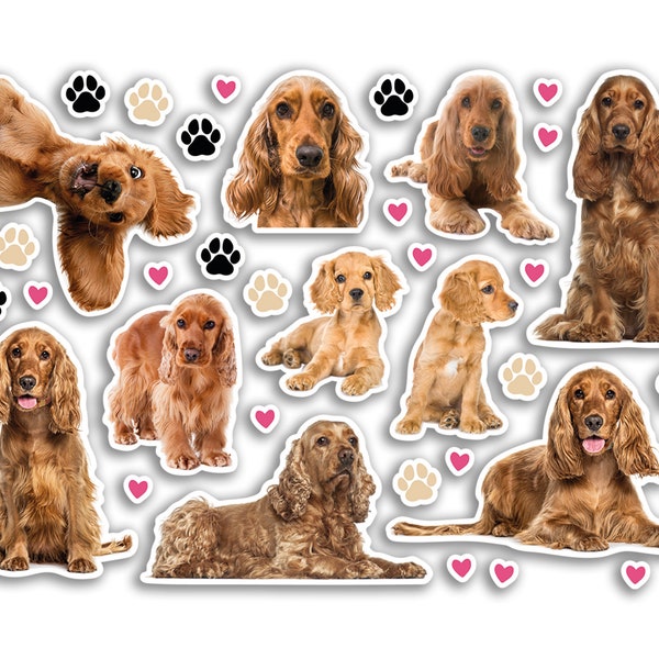 Cocker Spaniel Decal - Etsy