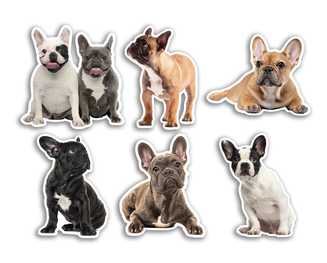 6 X 10cm French Bulldog Vinyl Stickers - Dog Puppy Animal Frenchie ...