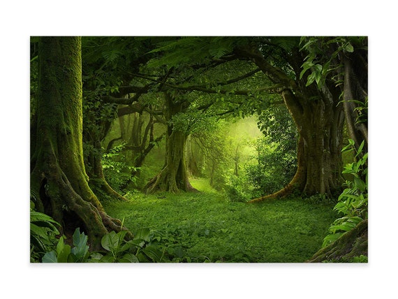 Jungle Wallpaper A4