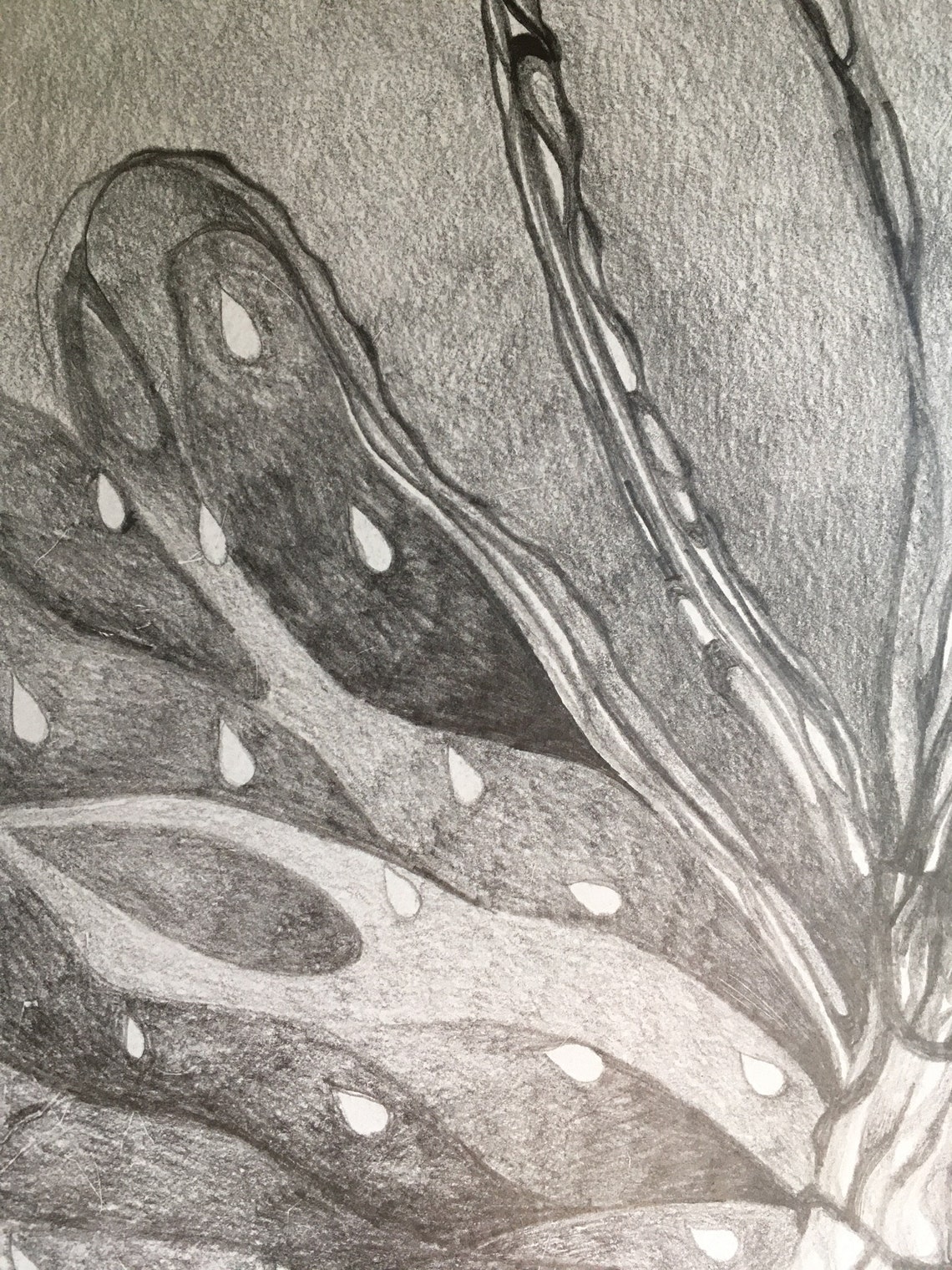 Landslide, Print of Original Drawing, Drawing, Trees, Landscape, Pencil ...