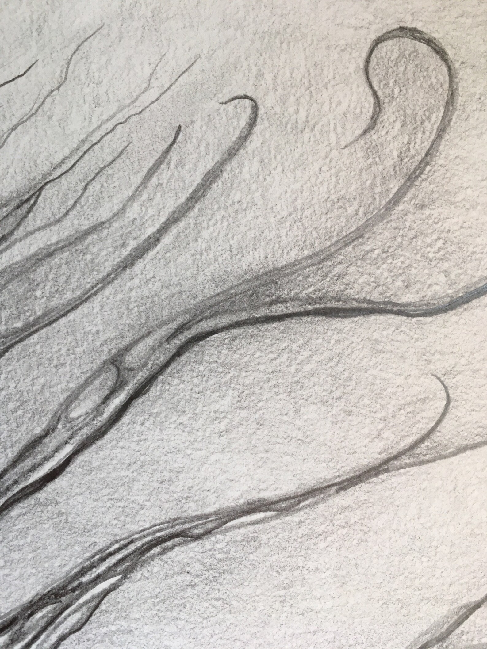 Landslide, Print of Original Drawing, Drawing, Trees, Landscape, Pencil ...