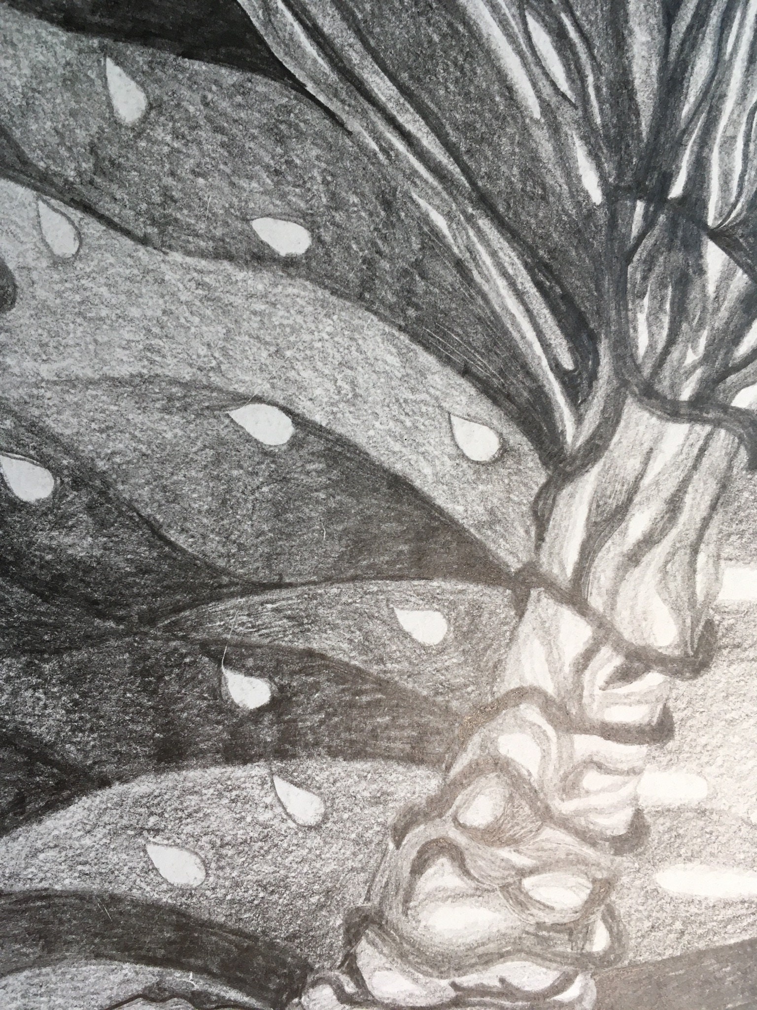 Landslide, print of original drawing, drawing, trees, landscape, pencil ...