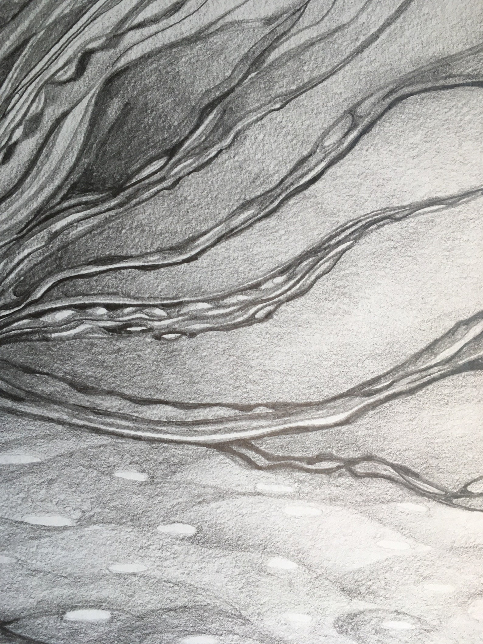 Landslide, print of original drawing, drawing, trees, landscape, pencil ...