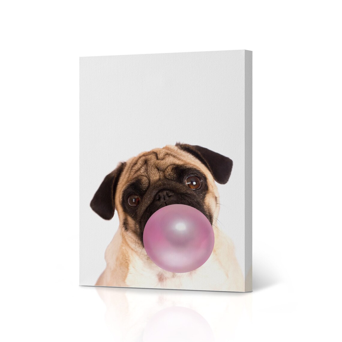 Cute Puppy Pug Dog Blowing Pink Bubble Gum Colorful Portrait | Etsy