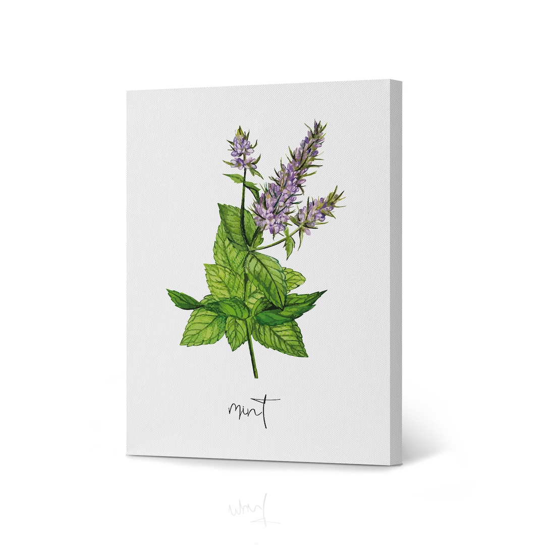 Mint Watercolor Painting Rustic Kitchen Wall Decor Canvas Print ...