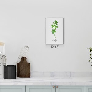 Parsley Watercolor Painting Rustic Kitchen Wall Decor Canvas Print ...