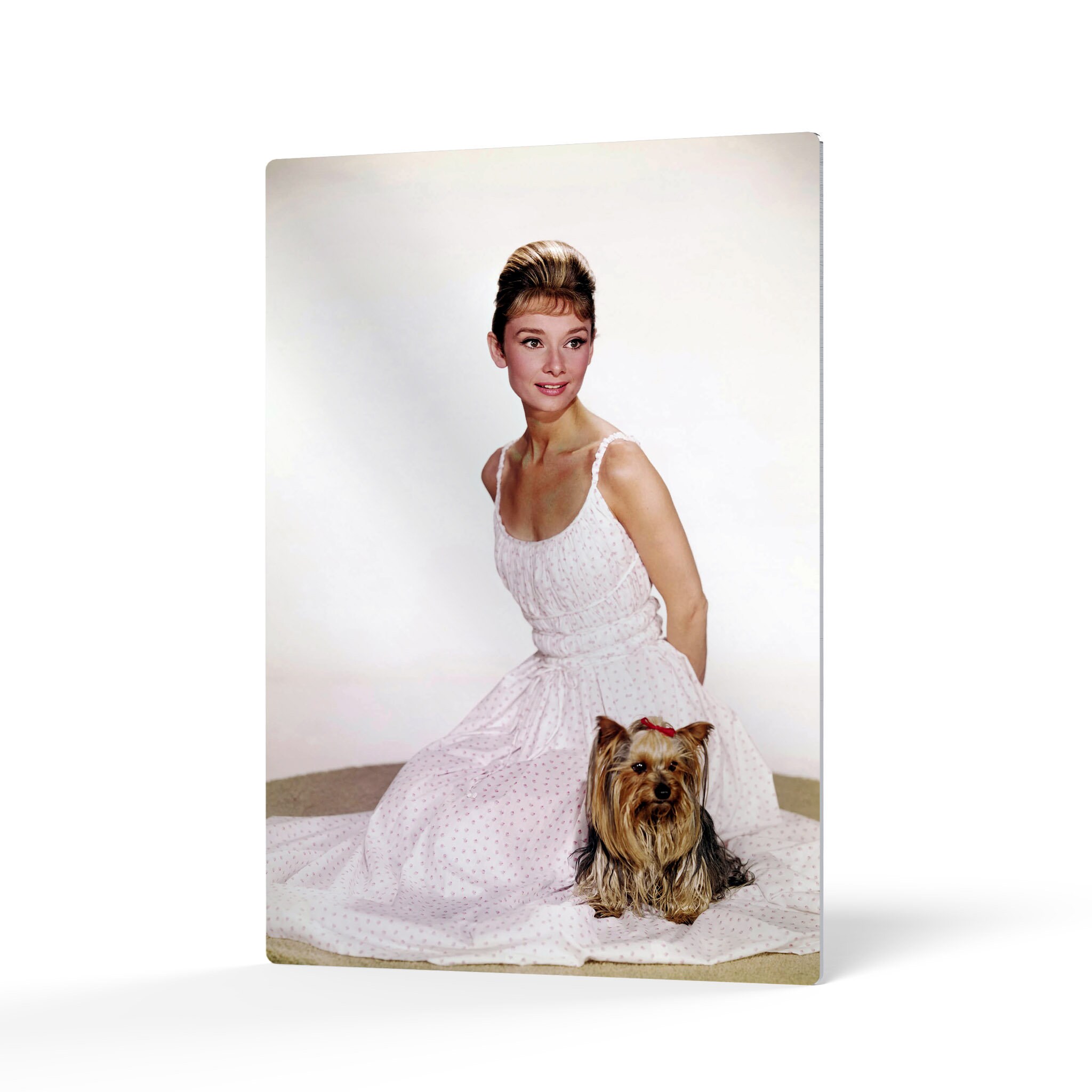 Audrey Hepburn Wall Art With Her Dog Metal Wall Art Metal | Etsy