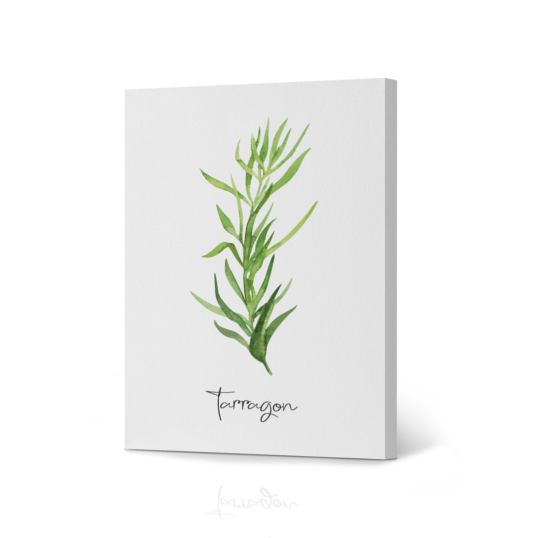 Tarragon Watercolor Painting Rustic Kitchen Wall Decor Canvas Print ...