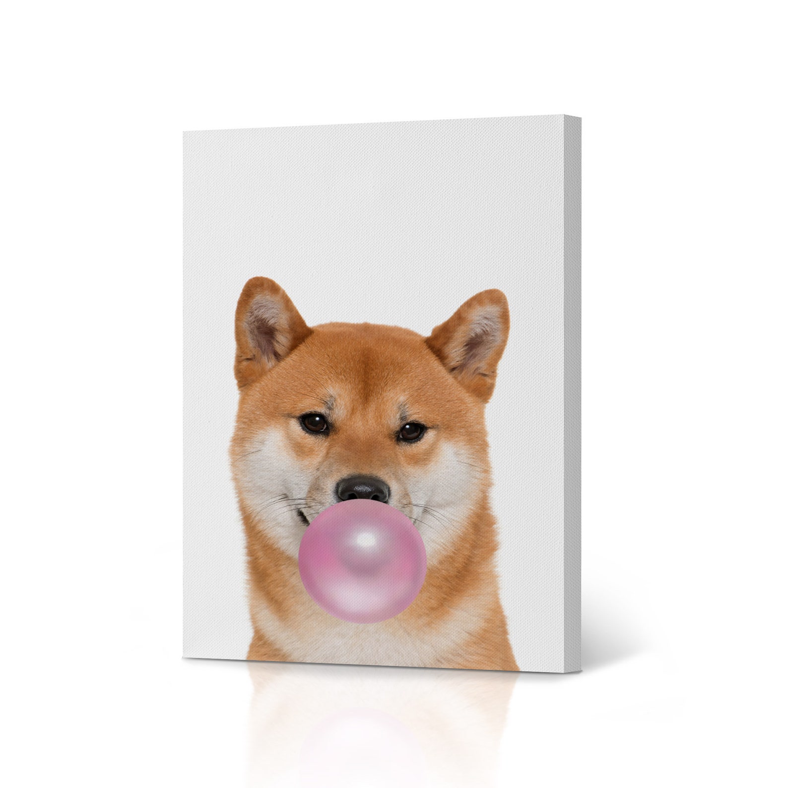 Shiba Inu Dog Blowing Pink Bubble Gum Portrait Pop Art Animal | Etsy
