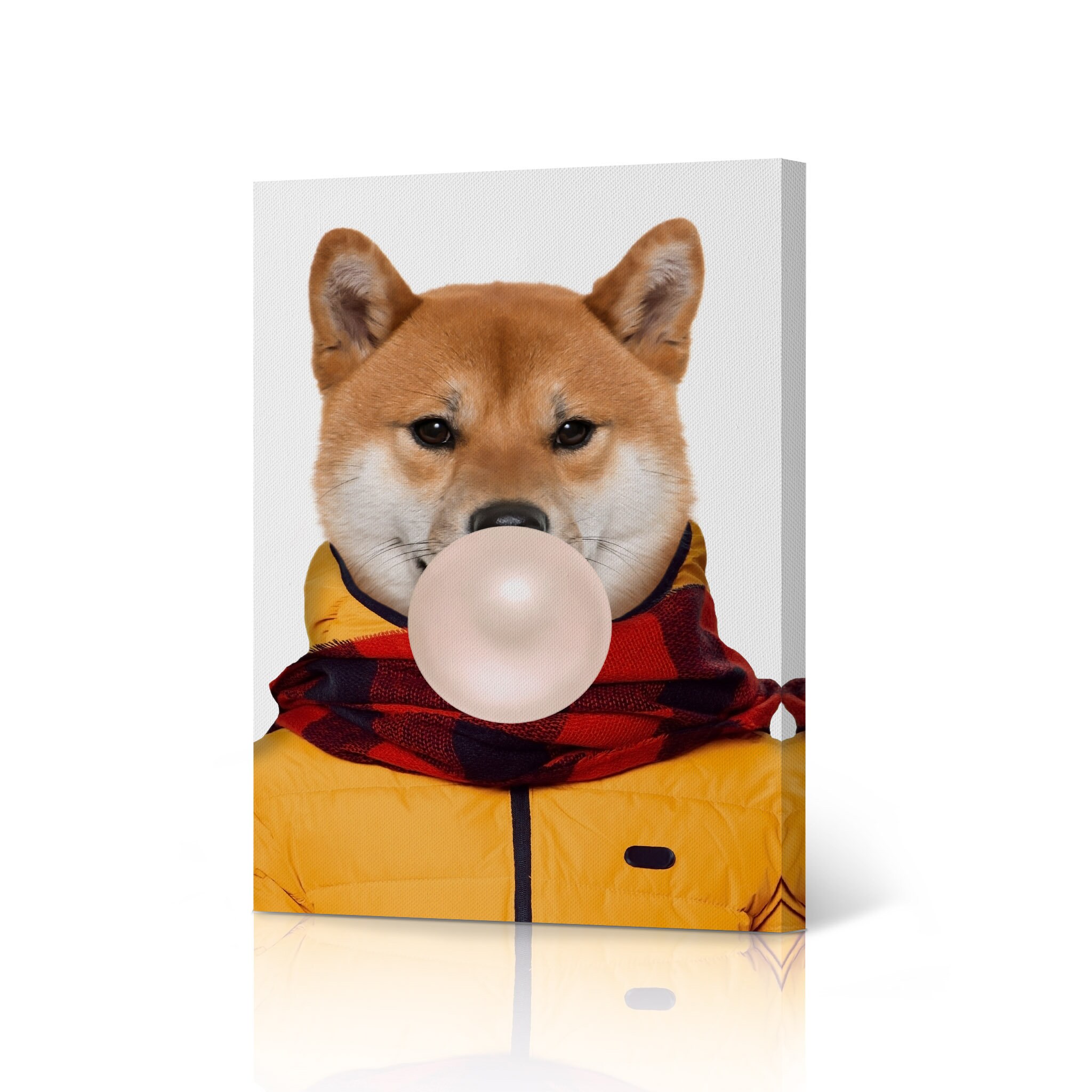 Shiba Inu Dog Wearing Coat Blowing Bubble Gum Pop Art Animal - Etsy