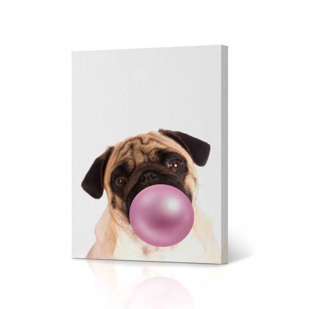 Cute Puppy Pug Dog Blowing Pink Bubble Gum Colorful Portrait Pop Art ...