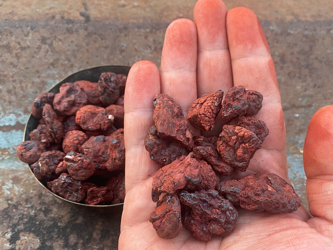 Dragons Blood Resin- Only Big Pieces - Resin of Socotra's Rare Dracaena ...