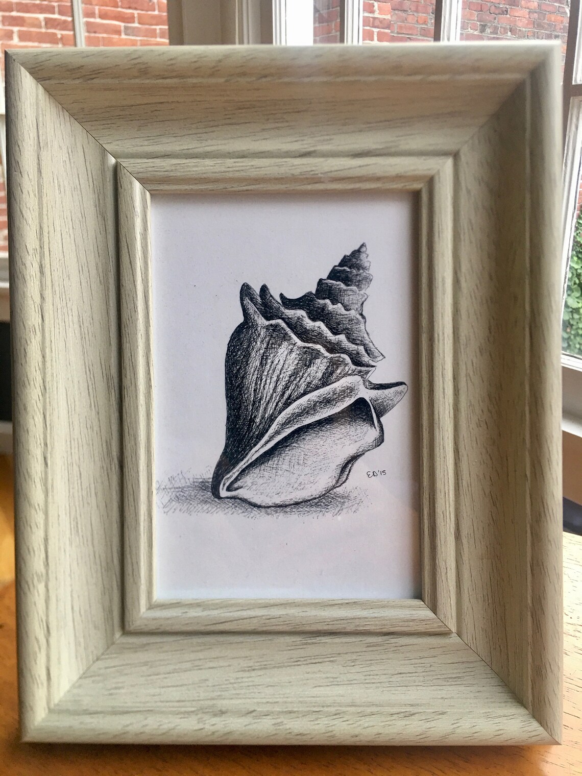 Seashell Pen Drawing Ink Art - Etsy