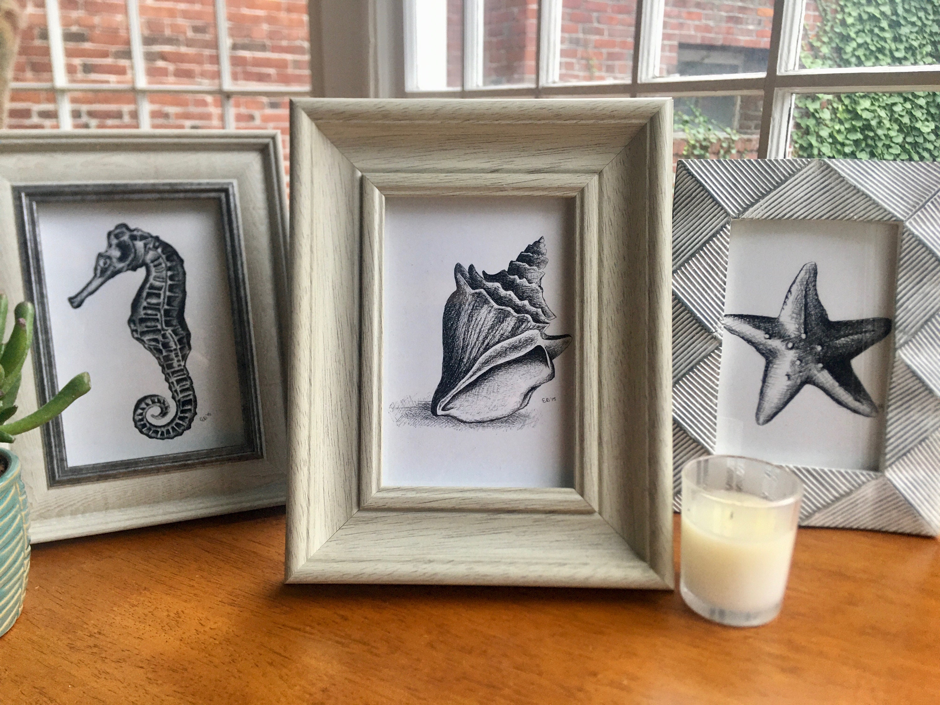 Seashell Pen Drawing Ink Art - Etsy