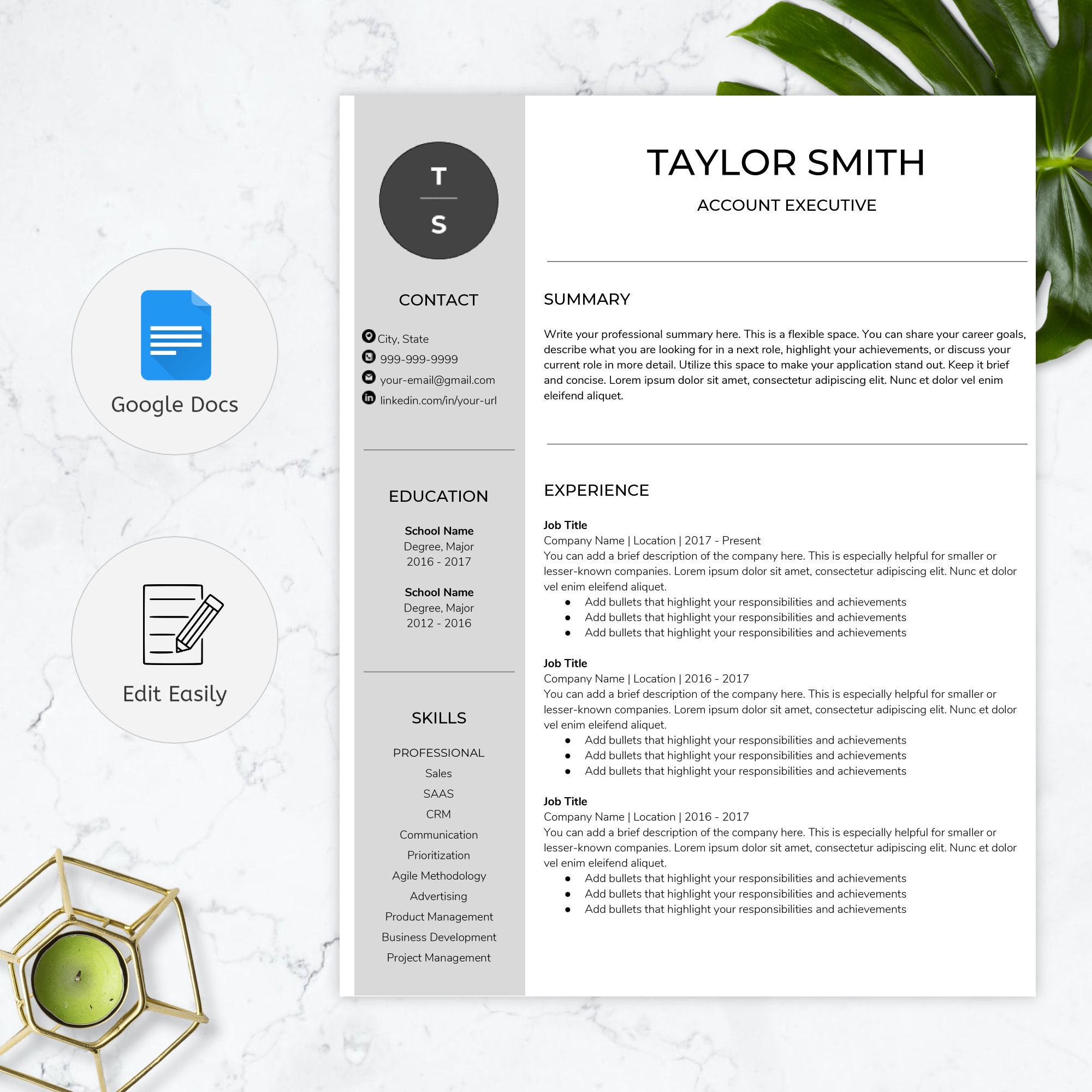 Modern Resume Template for Google Docs: Professional Design (digital ...