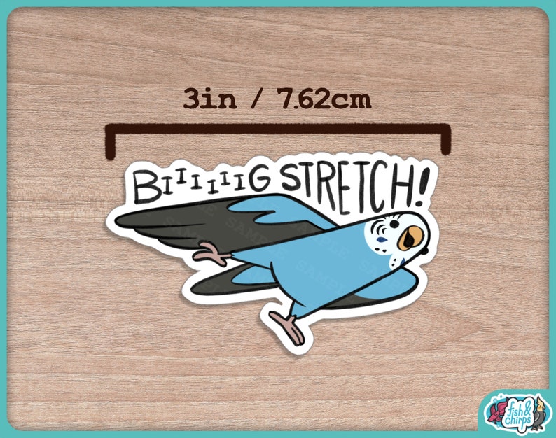 Big Stretch Budgie Stickers - Etsy