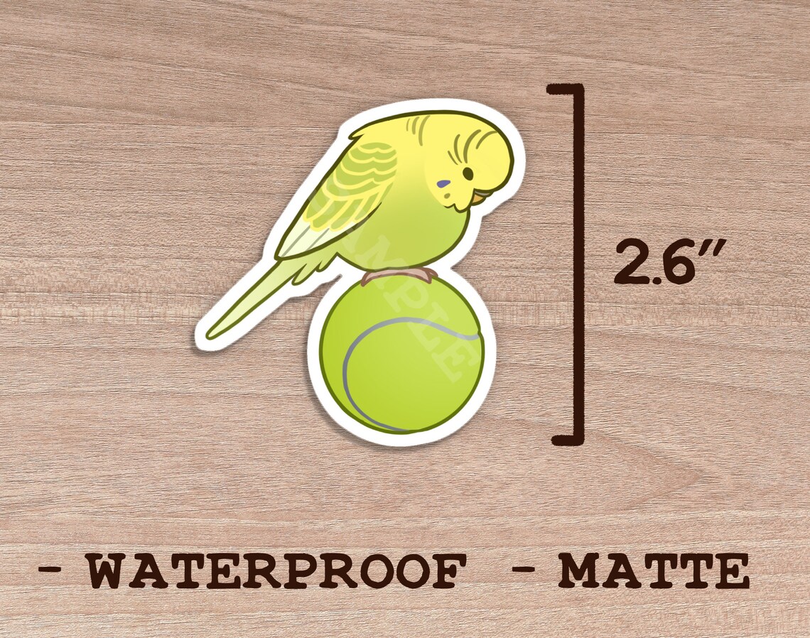 Budgie Balance Sticker - Etsy