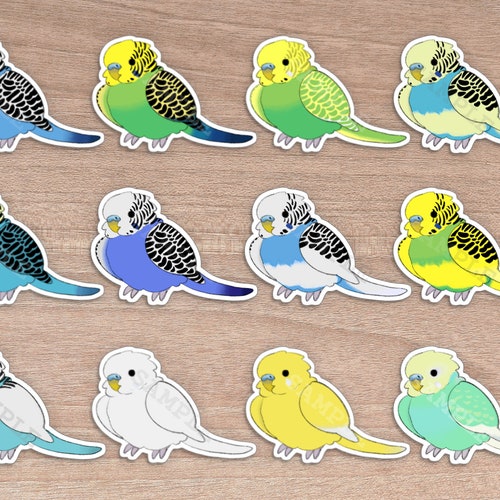 Budgie Meme Stickers - Etsy