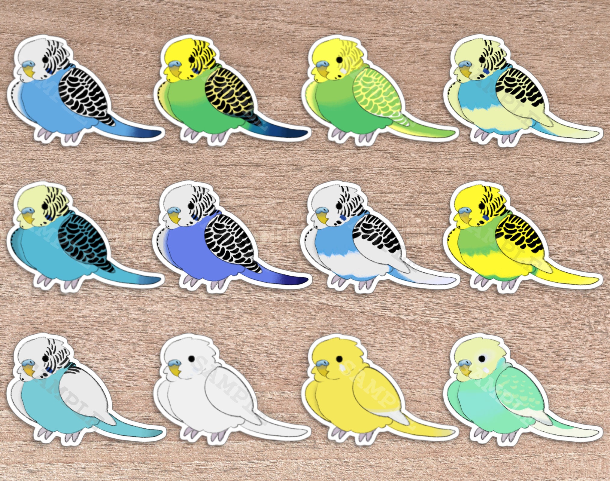 Budgie budgerigar Stickers - Etsy