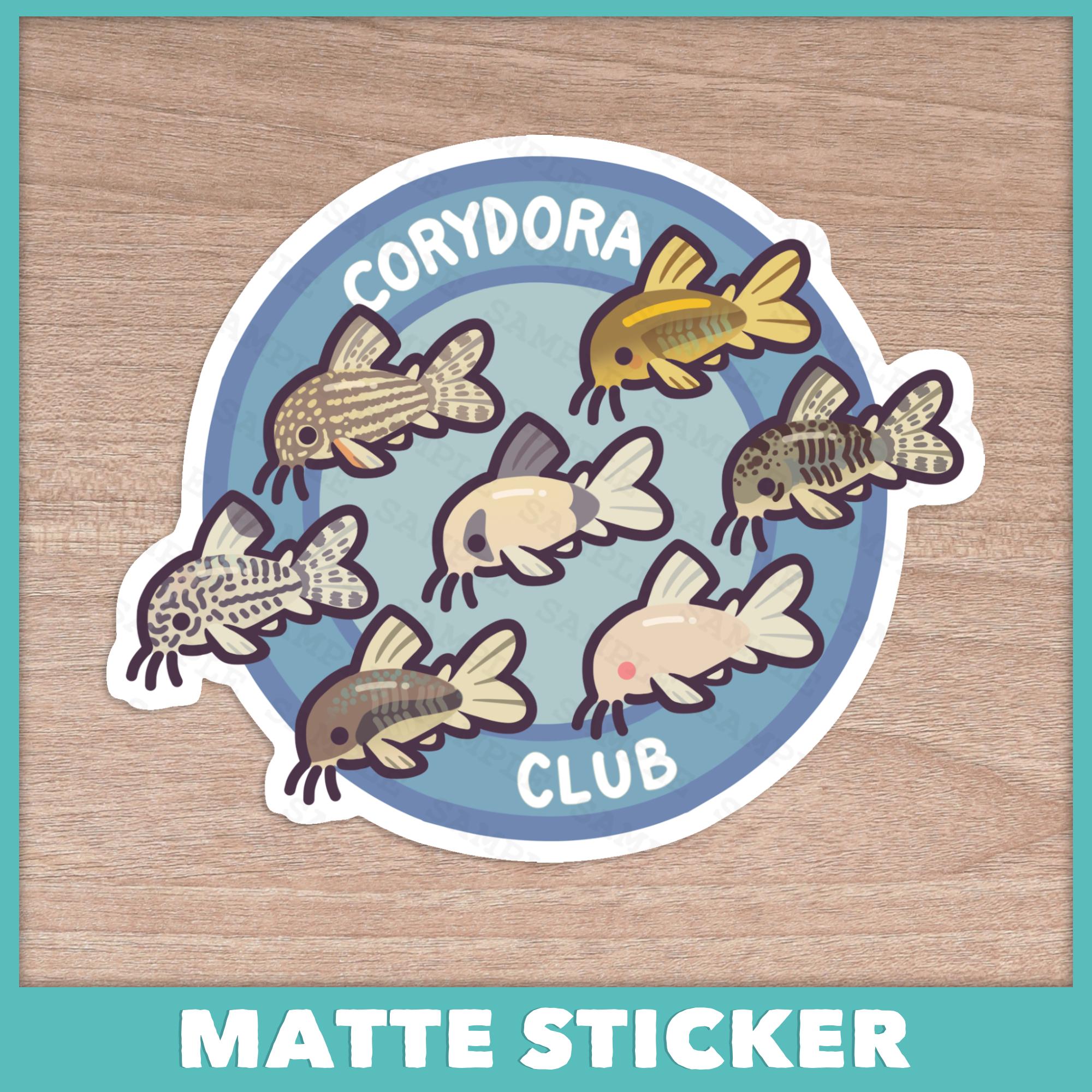 Corydora Club Sticker - Etsy