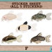 Corydoras Catfish Stickers - Etsy