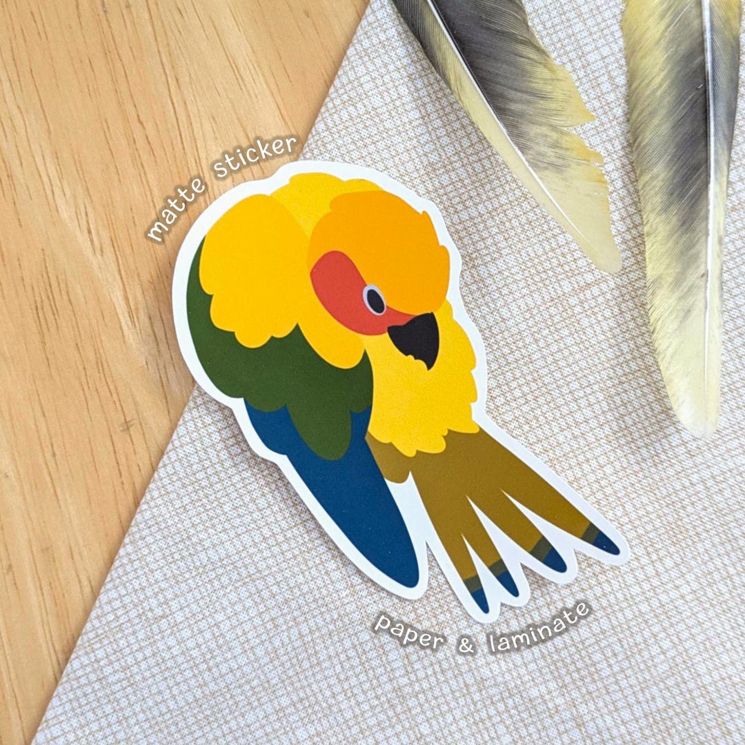 Sun Conure Preening Sticker - Etsy
