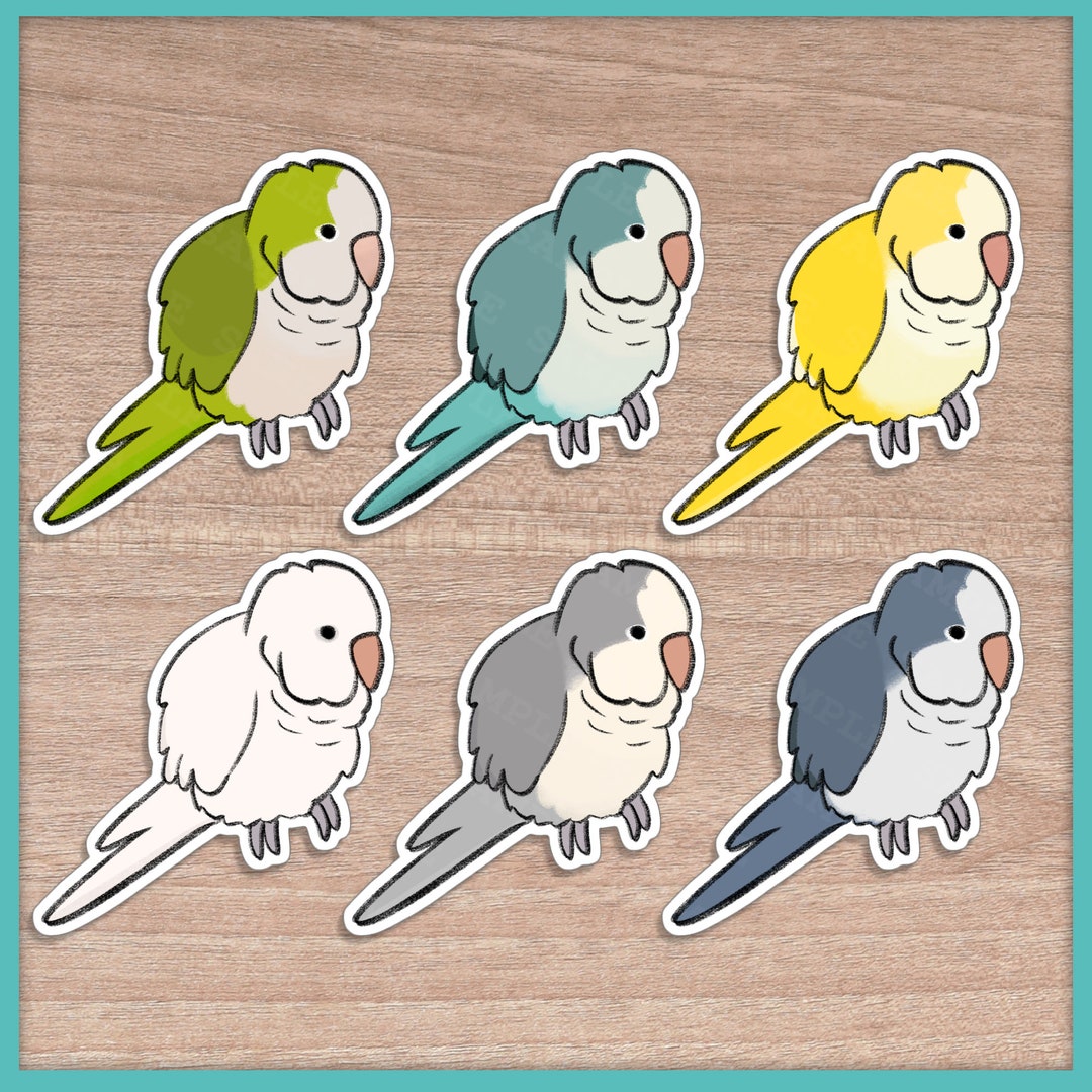 Quaker Parrot Stickers - Etsy