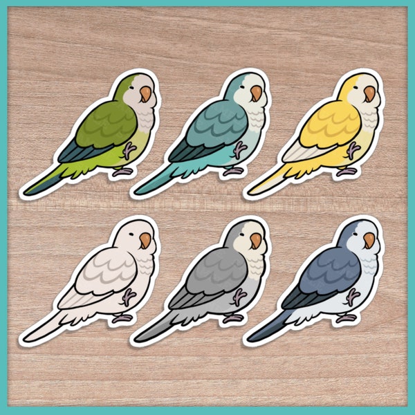 Parrot - Etsy