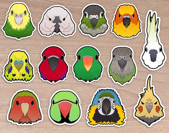 Caricature Parrot Stickers - Etsy