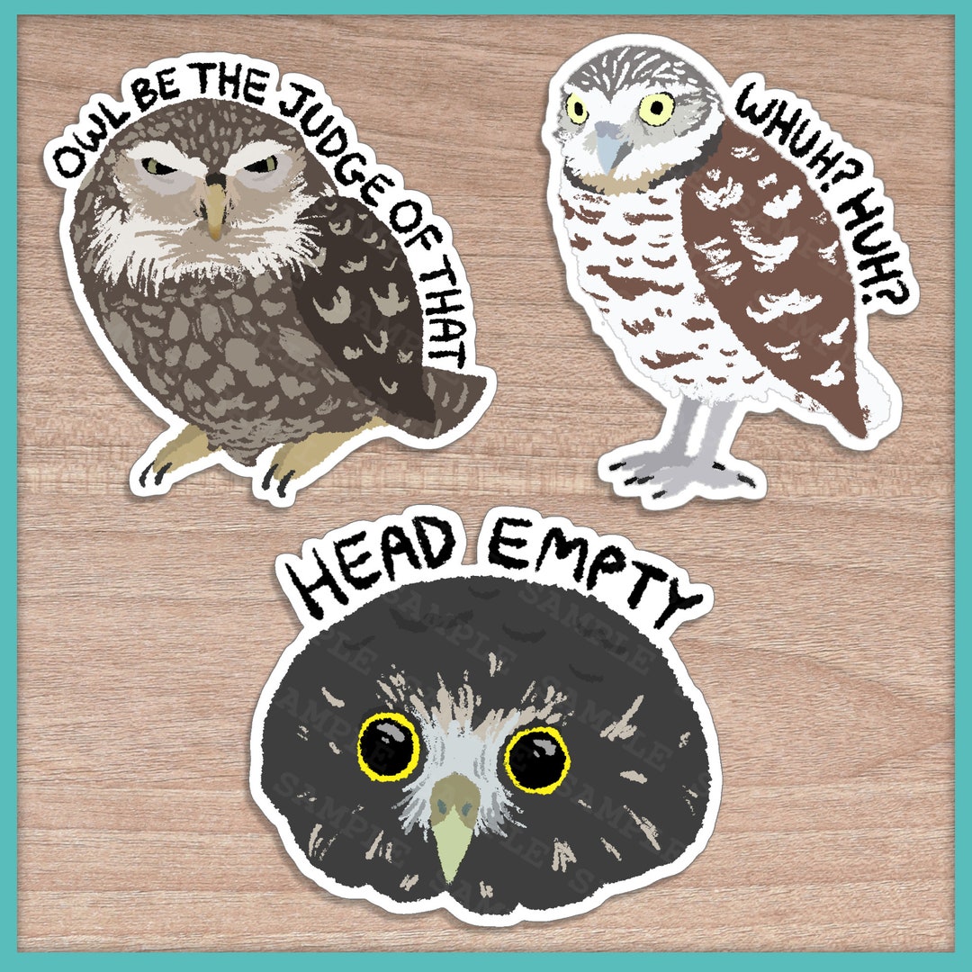 Goofy Burrowing Owl Stickers - Etsy