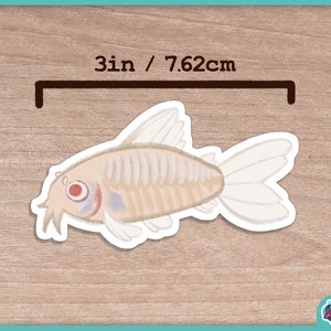 Corydoras Catfish Stickers - Etsy