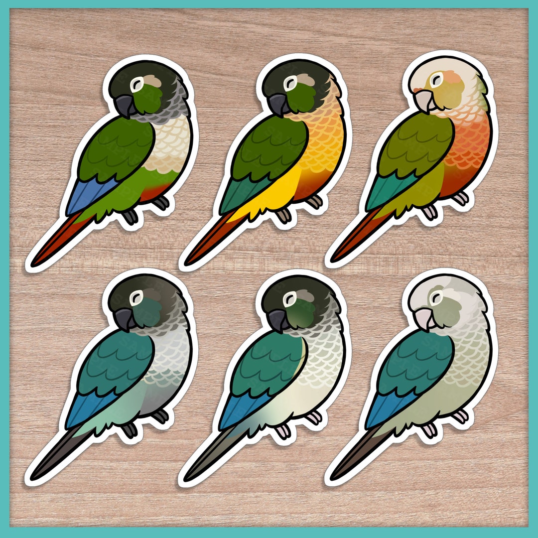 Conure (pyrhurra) Sleepers Stickers - Etsy