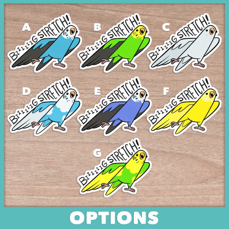 Big Stretch Budgie Stickers - Etsy